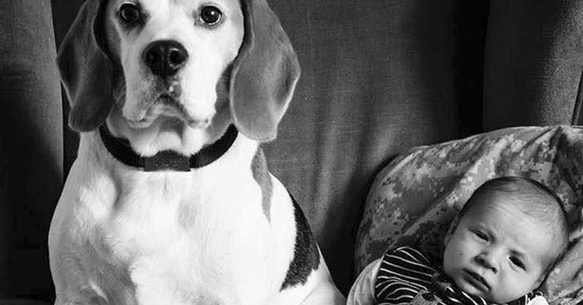 Gutt og hund – måned for måned